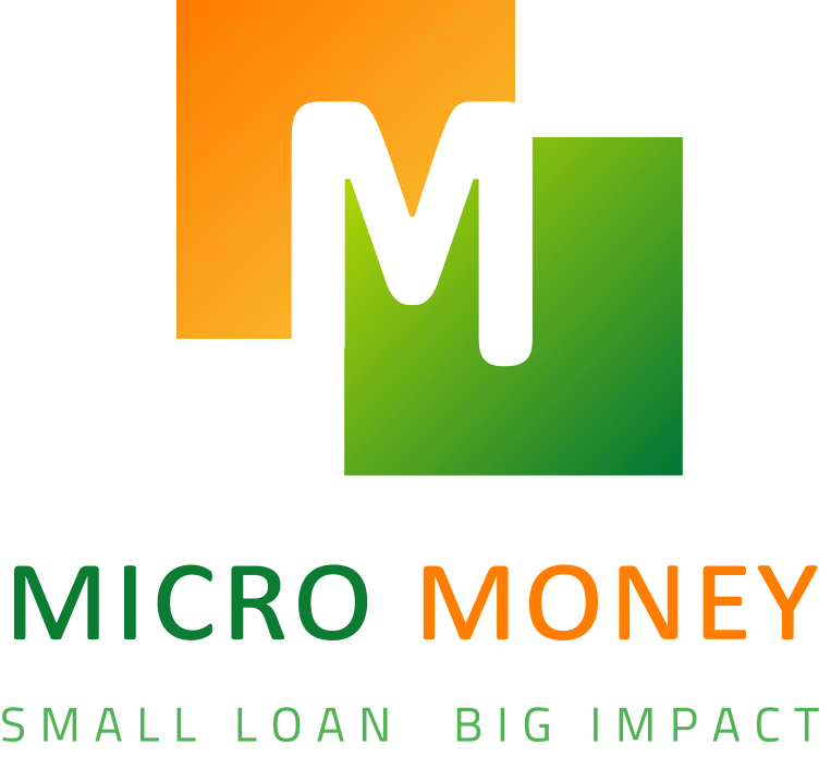 MicroMoney